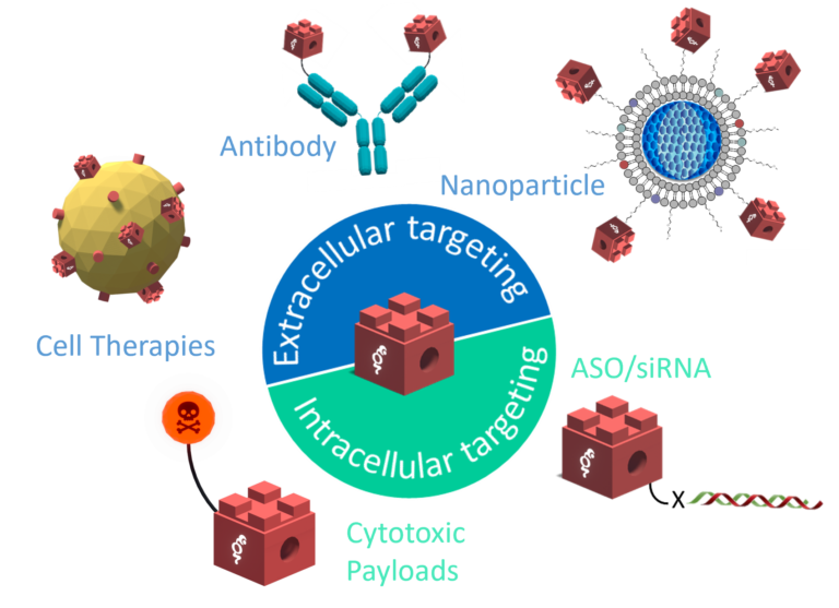 NanoVector - Affilogic