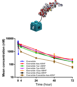Nanofitins®, alternative scaffolds for half-life extension