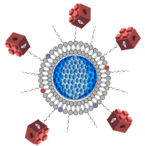 Technology - Affilogic