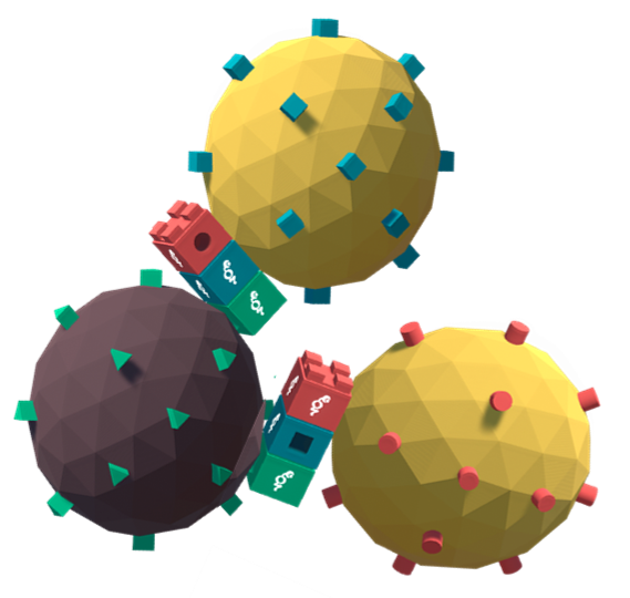 News of Affilogic on their alternative scaffolds antibody-mimetics