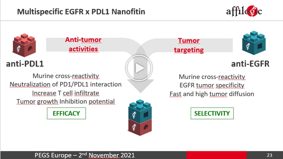News of Affilogic on their alternative scaffolds antibody-mimetics