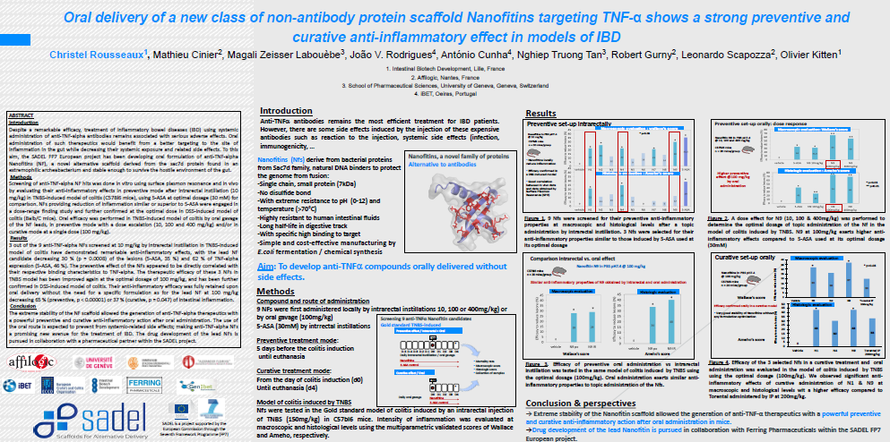 Archives 2015 Affilogic on their alternative scaffolds Nanofitins®