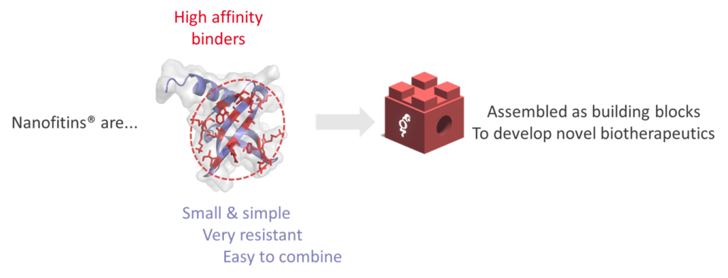 Nanofitins - Affilogic