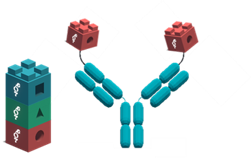 Affilogic: Binding proteins, as alternative scaffolds antibody-mimetics