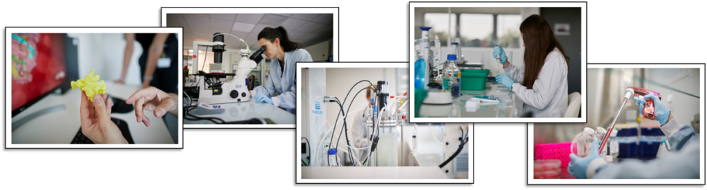 Affilogic: Binding proteins, as alternative scaffolds antibody-mimetics