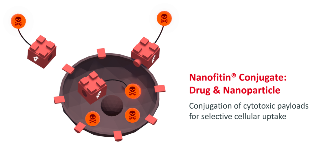 Nanofitins® Conjugate: Drug & Nanoparticles