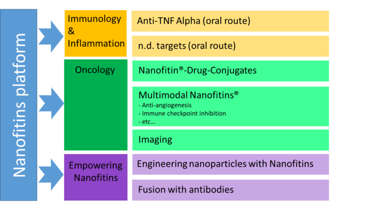 Nanofitins®, antibody mimetics for therapeutic applications