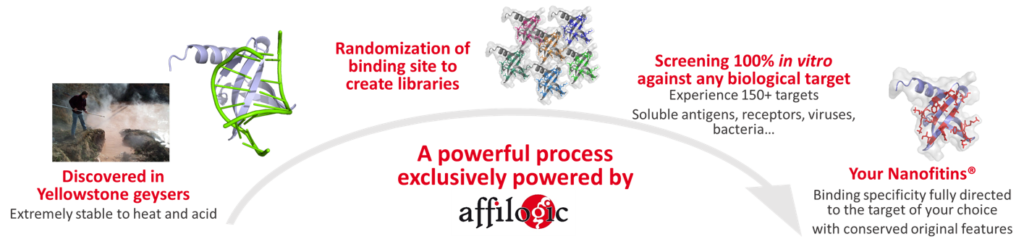 Technology - Affilogic