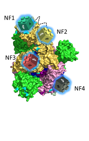 Respitude - Affilogic